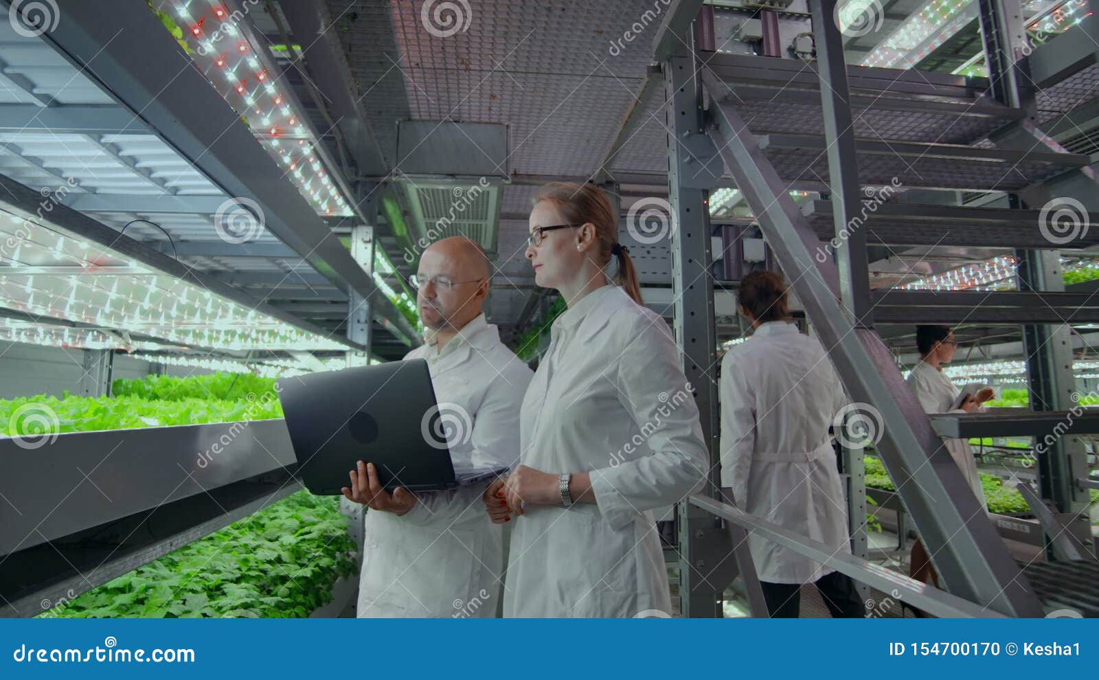 A Team of Scientists Explores Vegetables Grown in Vertical Farms Using ...