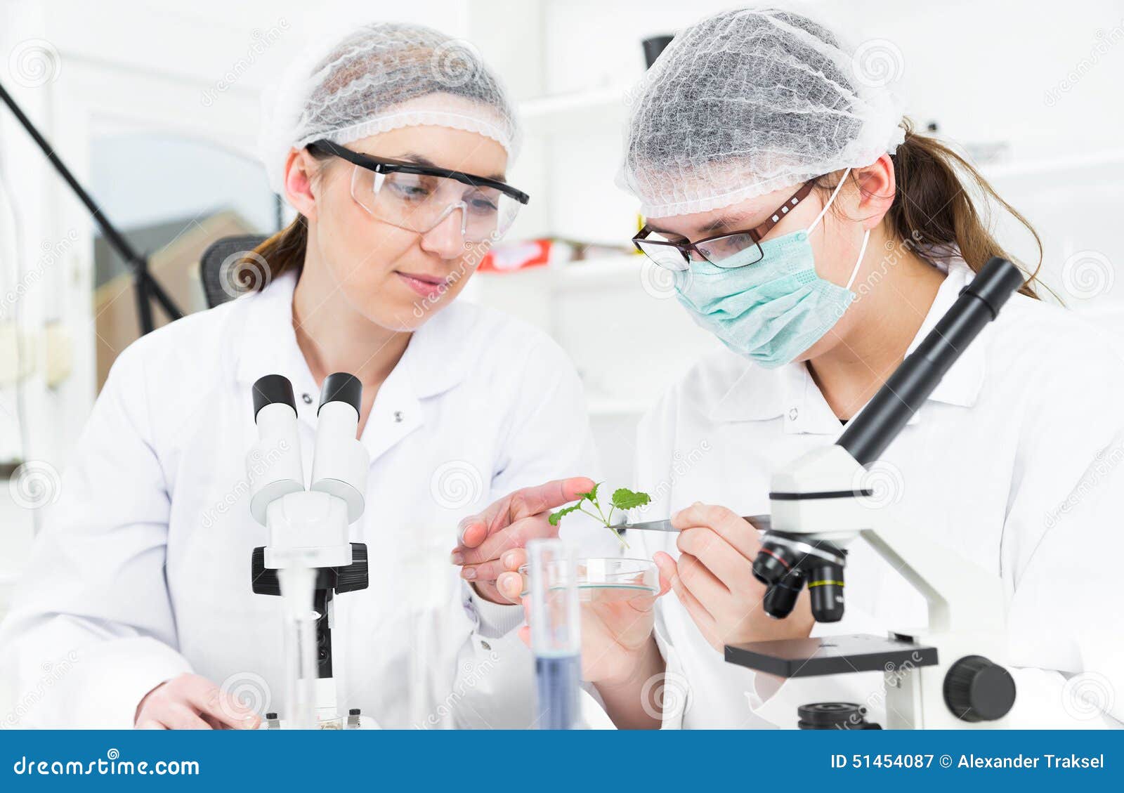 Team of Scientists in a Laboratory Working on Stock Image - Image of ... Team of Scientists in a Laboratory Working on Stock Image - Image of ...