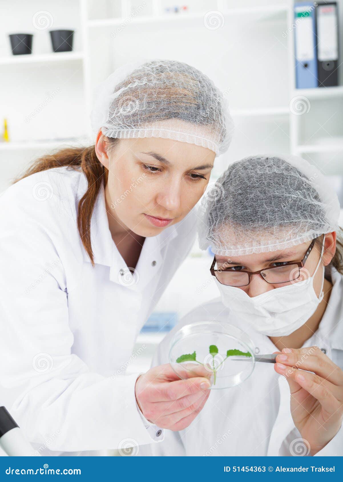 Team of Scientists in a Laboratory Working on Stock Image - Image of ...