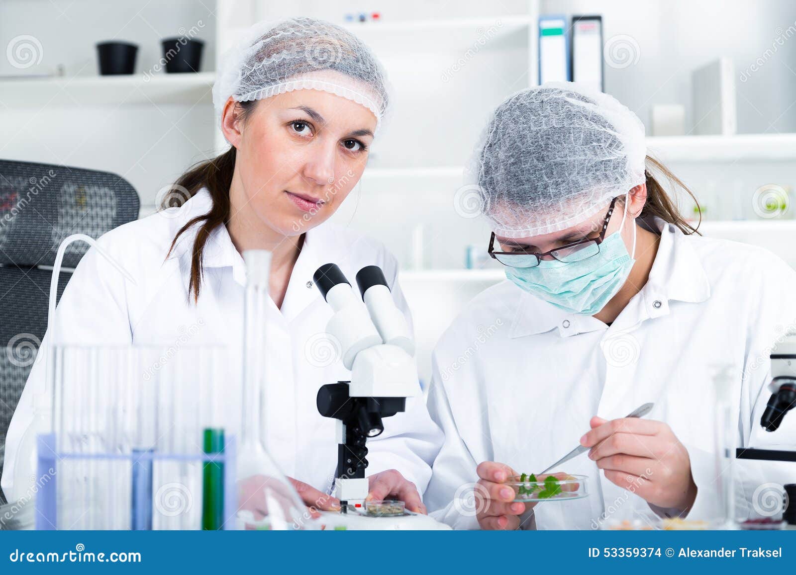 Team of Scientists in a Laboratory Working on Stock Photo - Image of ...