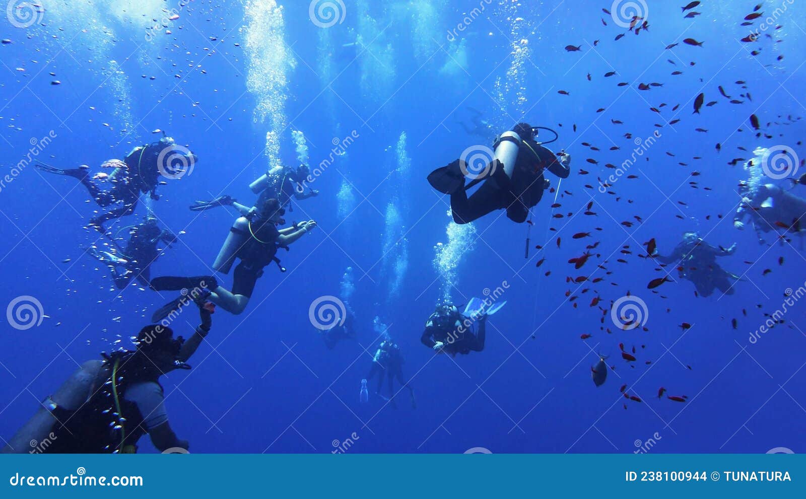 Team of Scuba Divers in the Blue Deep Sea Water Editorial Stock Image ...