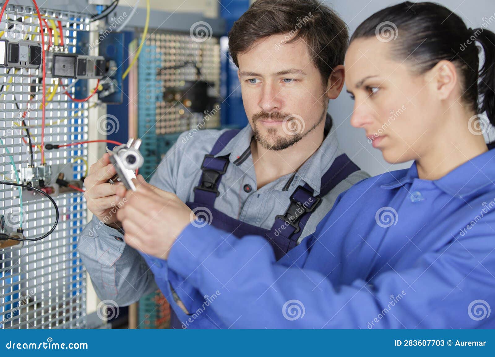 Team Technicians Working Together on Servers Stock Image - Image of ...