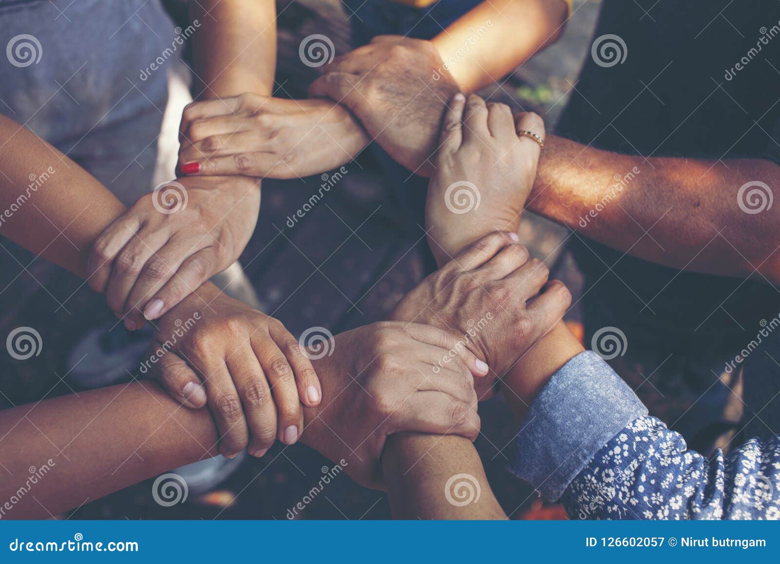 Team Work Concept: Grupo De Mãos Diversas Junto Proces Transversal ...