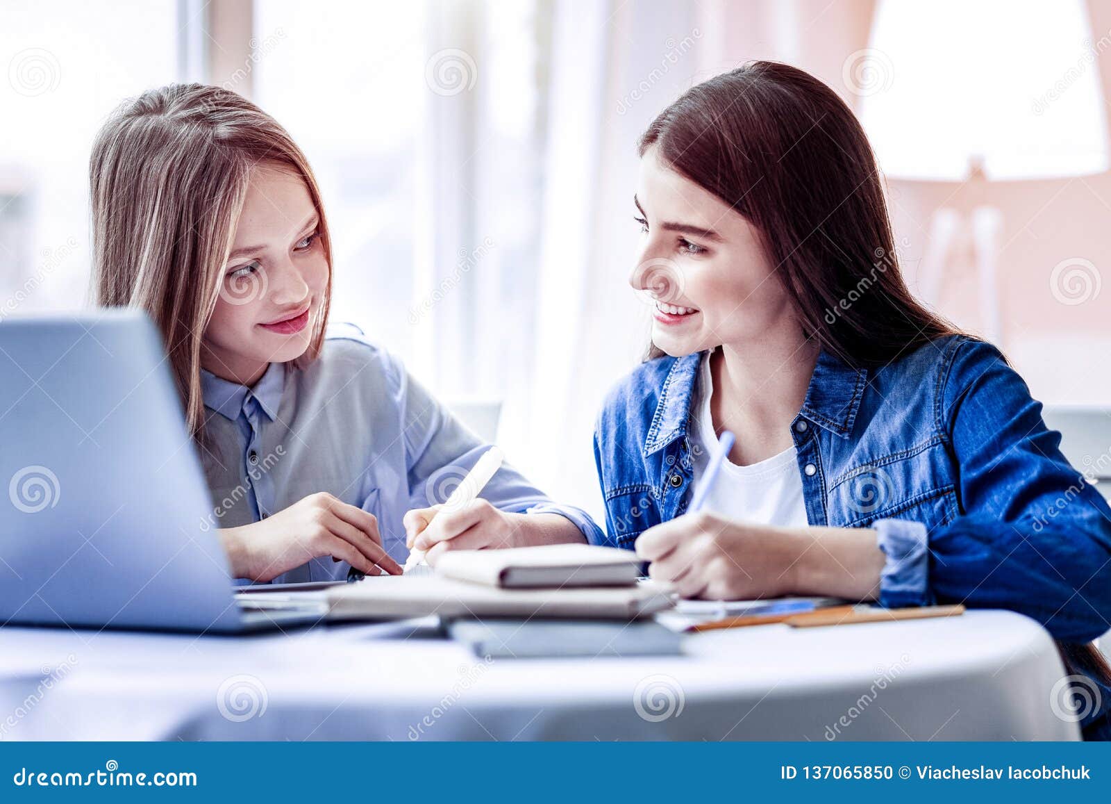 Jolly Two Girls Having First Team Project Stock Photo - Image of casual ...