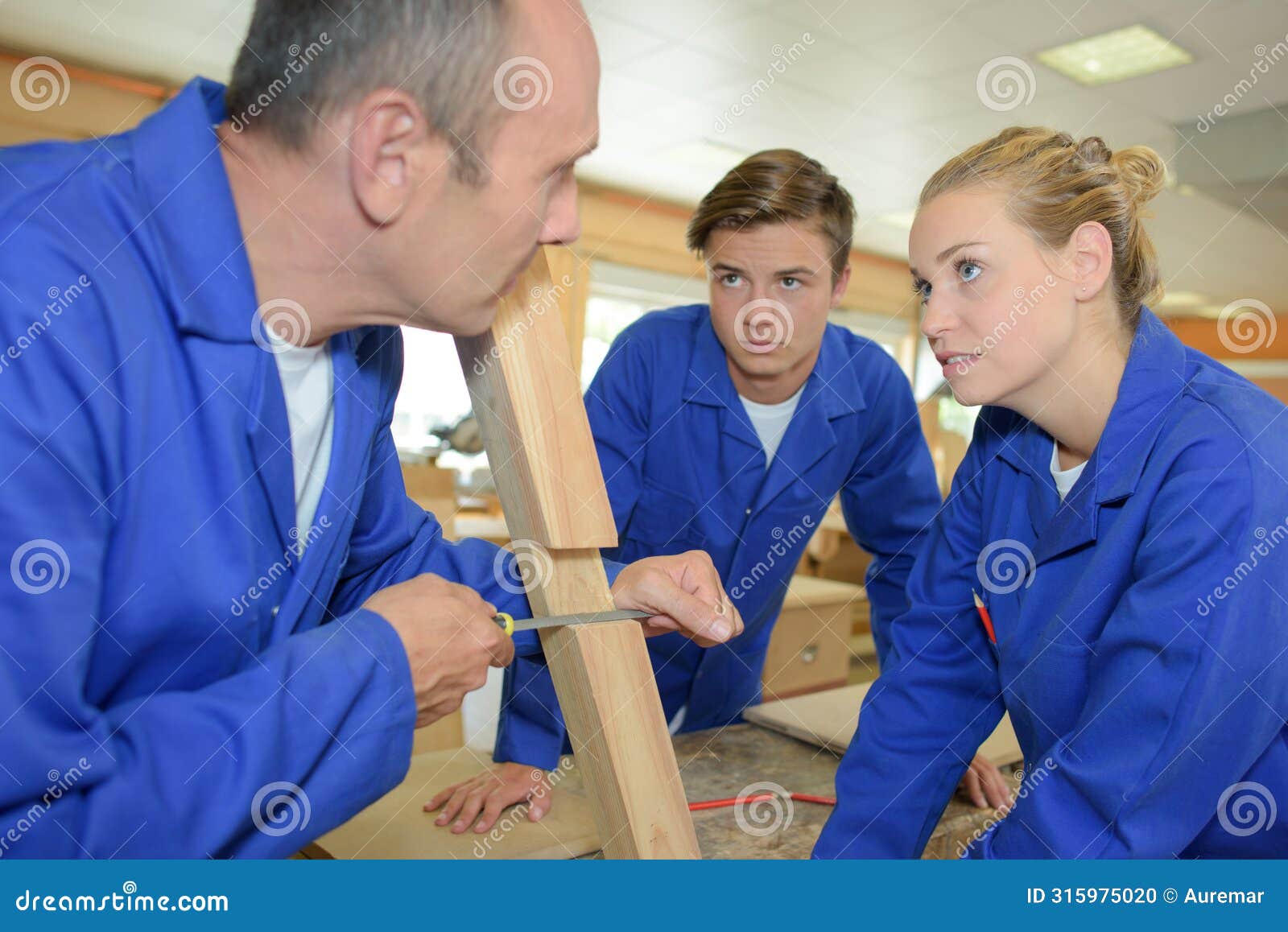 Team Workers Cutting Section Stock Photo - Image of wood, piece: 315975020