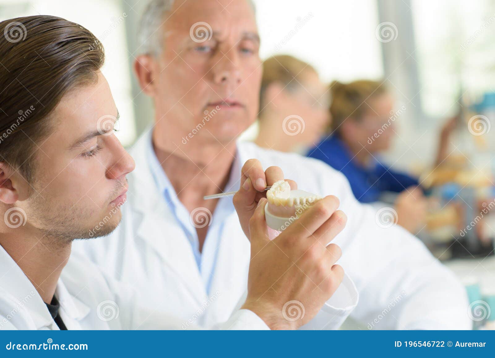 Team Workers at Dental Laboratory Stock Photo - Image of business ...