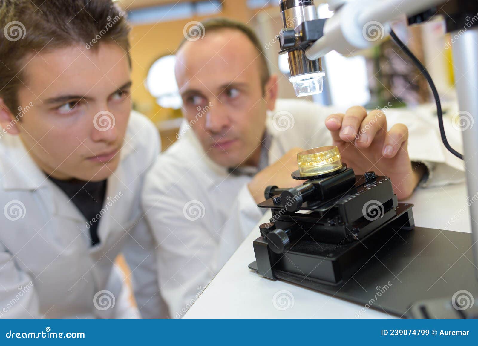 Team workers in laboratory stock image. Image of team - 239074799