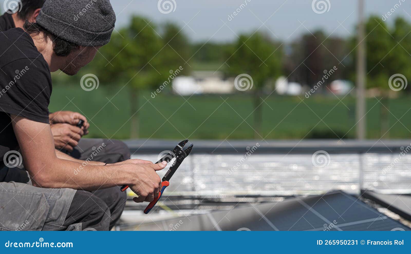 Team of Workers Preparing Electrical Connection Cables for Solar Panels ...