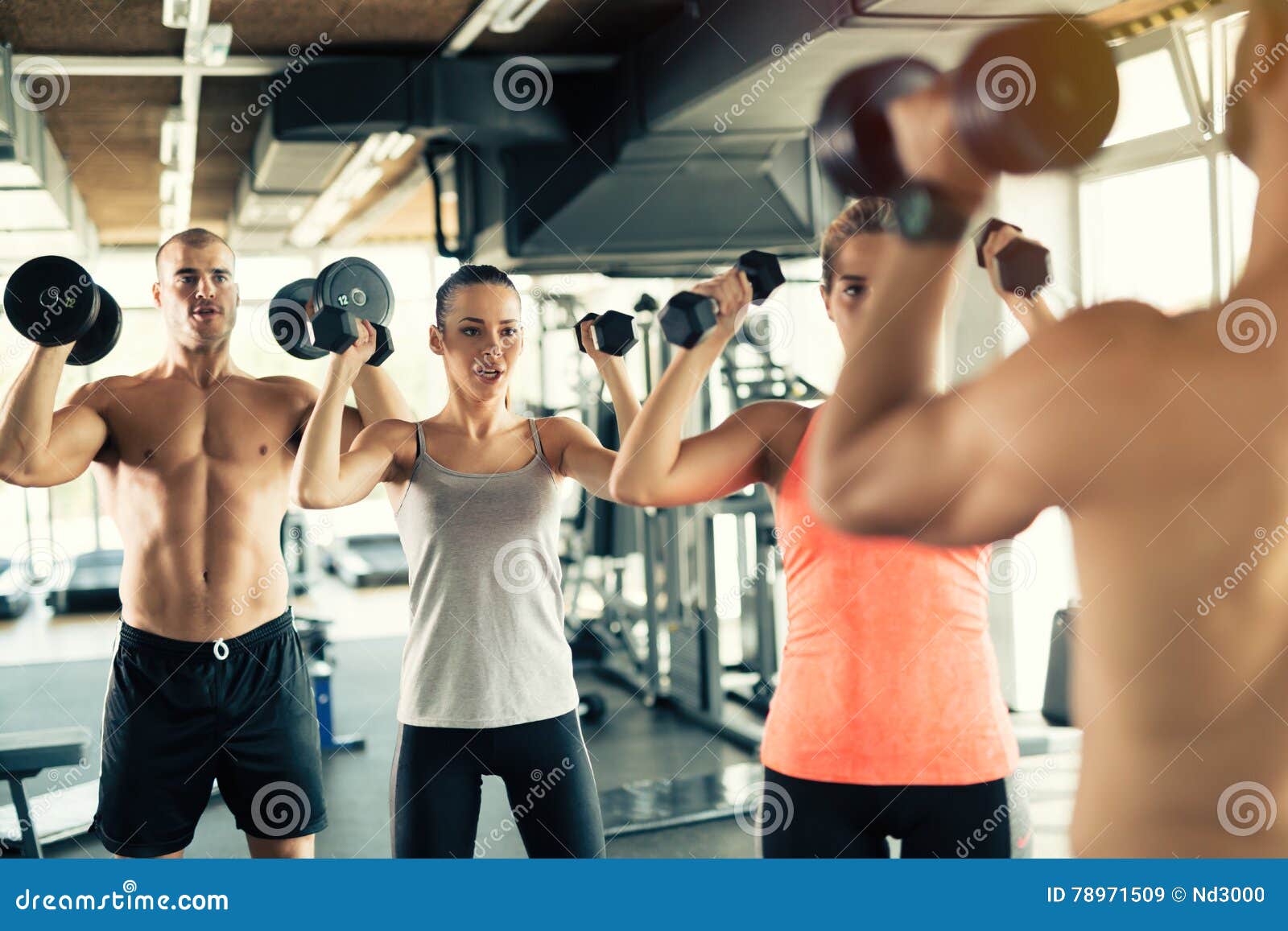 Team workout in gym stock image. Image of muscles, flexing - 78971509