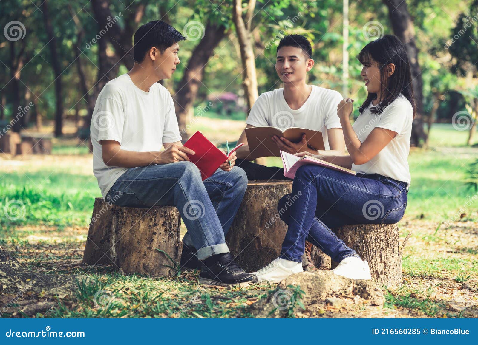 Team of Young Students Studying in the Park. Stock Image - Image of ...