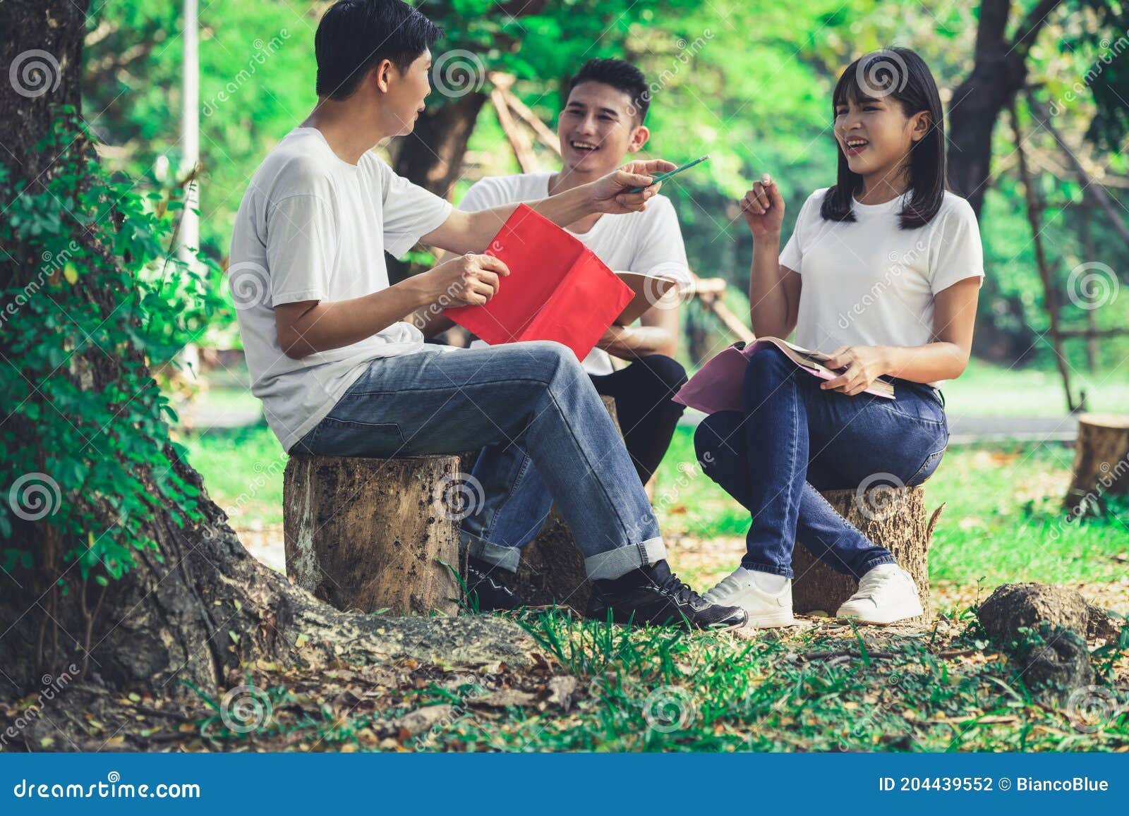 Team of Young Students Studying in the Park. Stock Photo - Image of ...