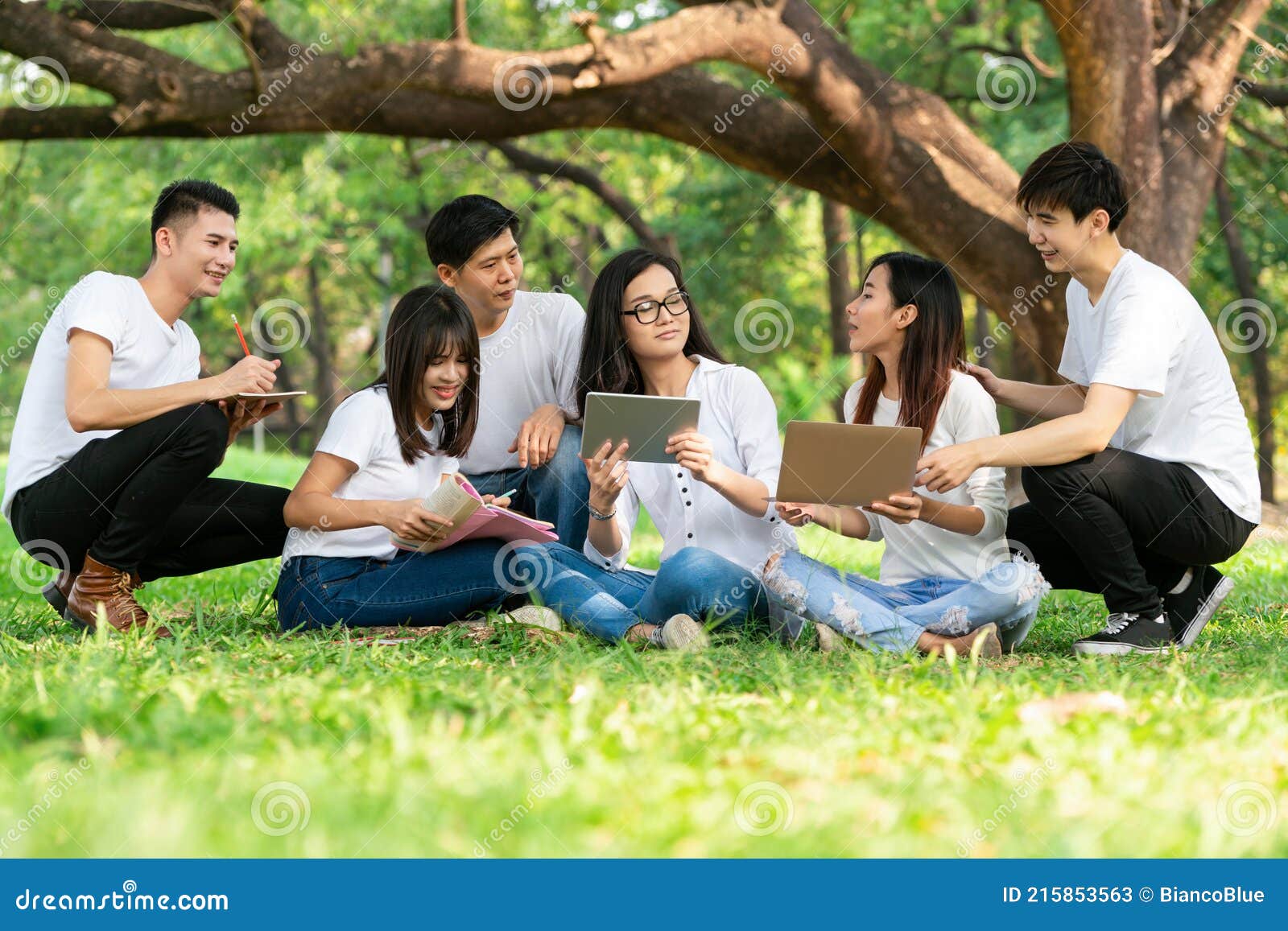 Team of Young Students Studying in the Park. Stock Image - Image of ...
