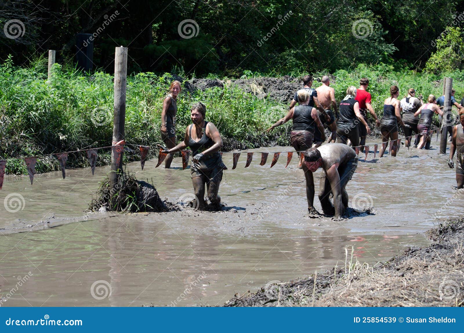Teams in the mud editorial stock image. Image of farm - 25854539