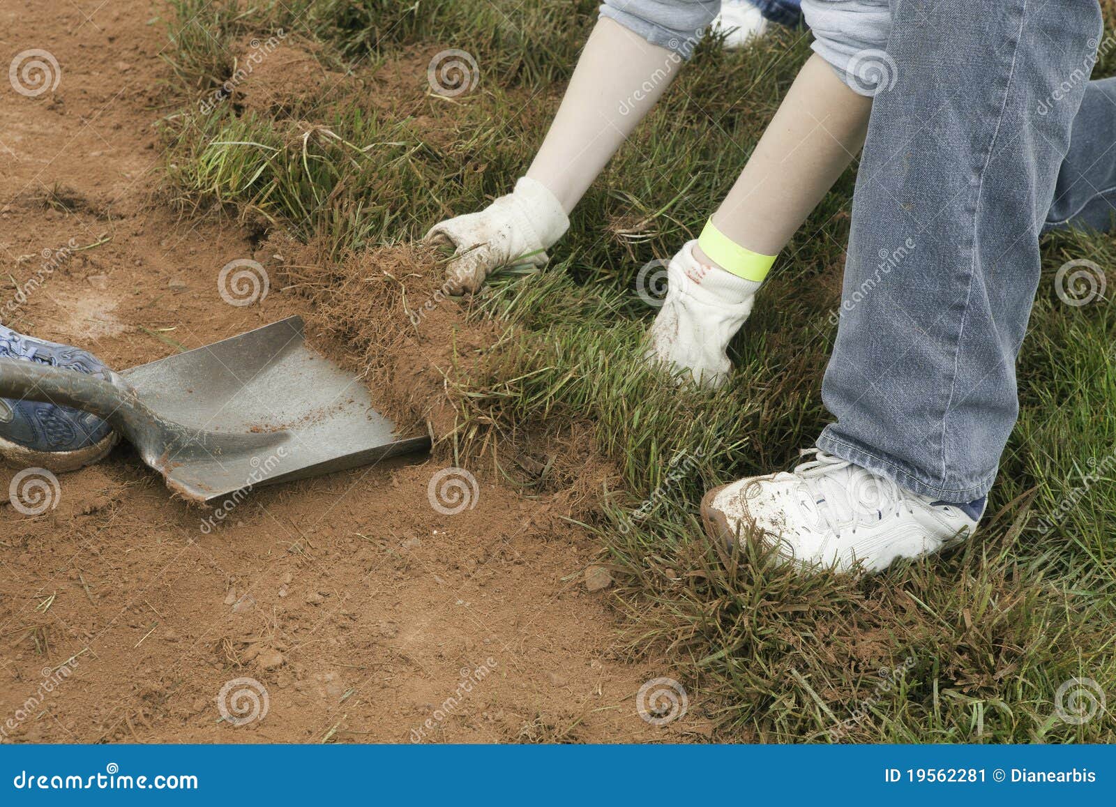 Teamwork stock image. Image of enviromental, working - 19562281
