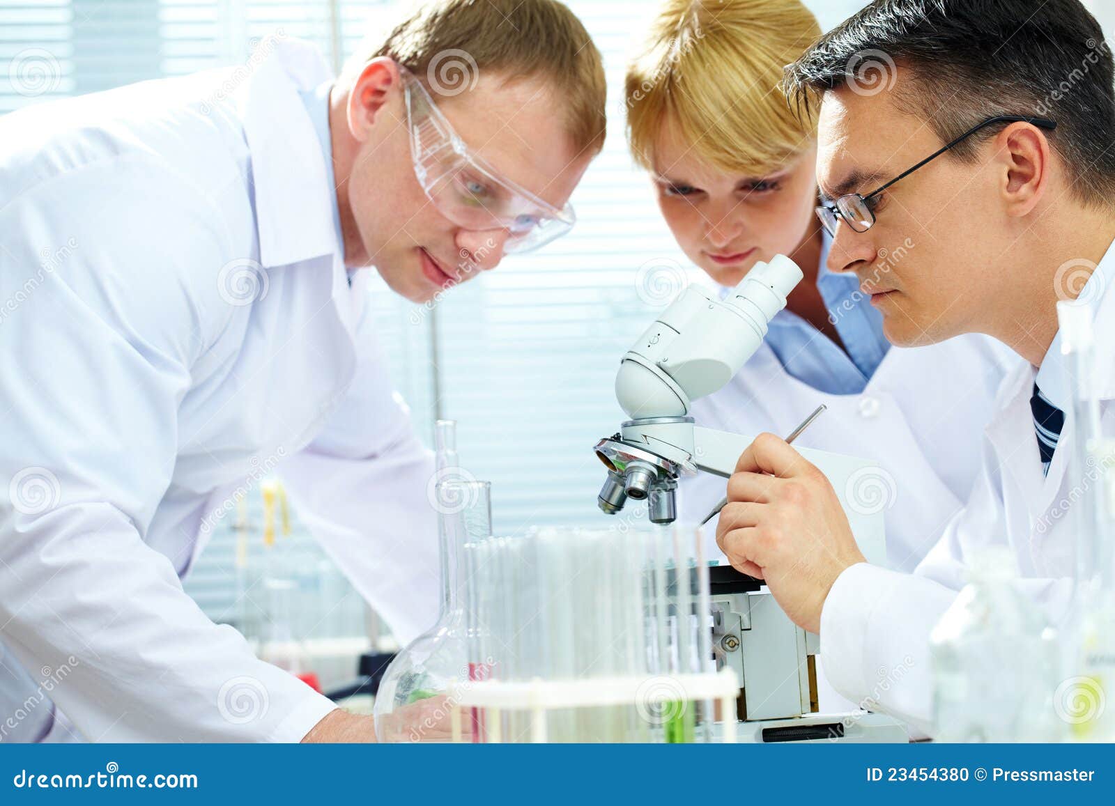 Teamwork stock photo. Image of experiment, bottle, female - 23454380