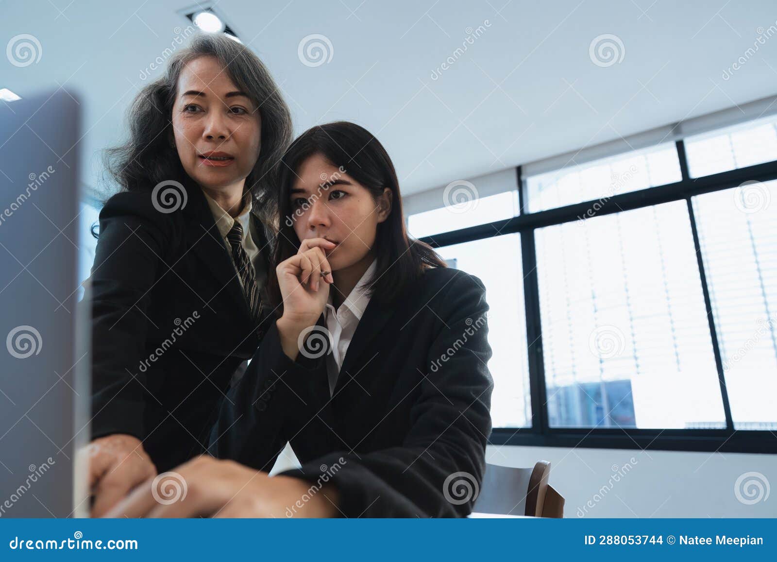Teamwork Collaboration Senior Manager Explaining To an Intern for ...