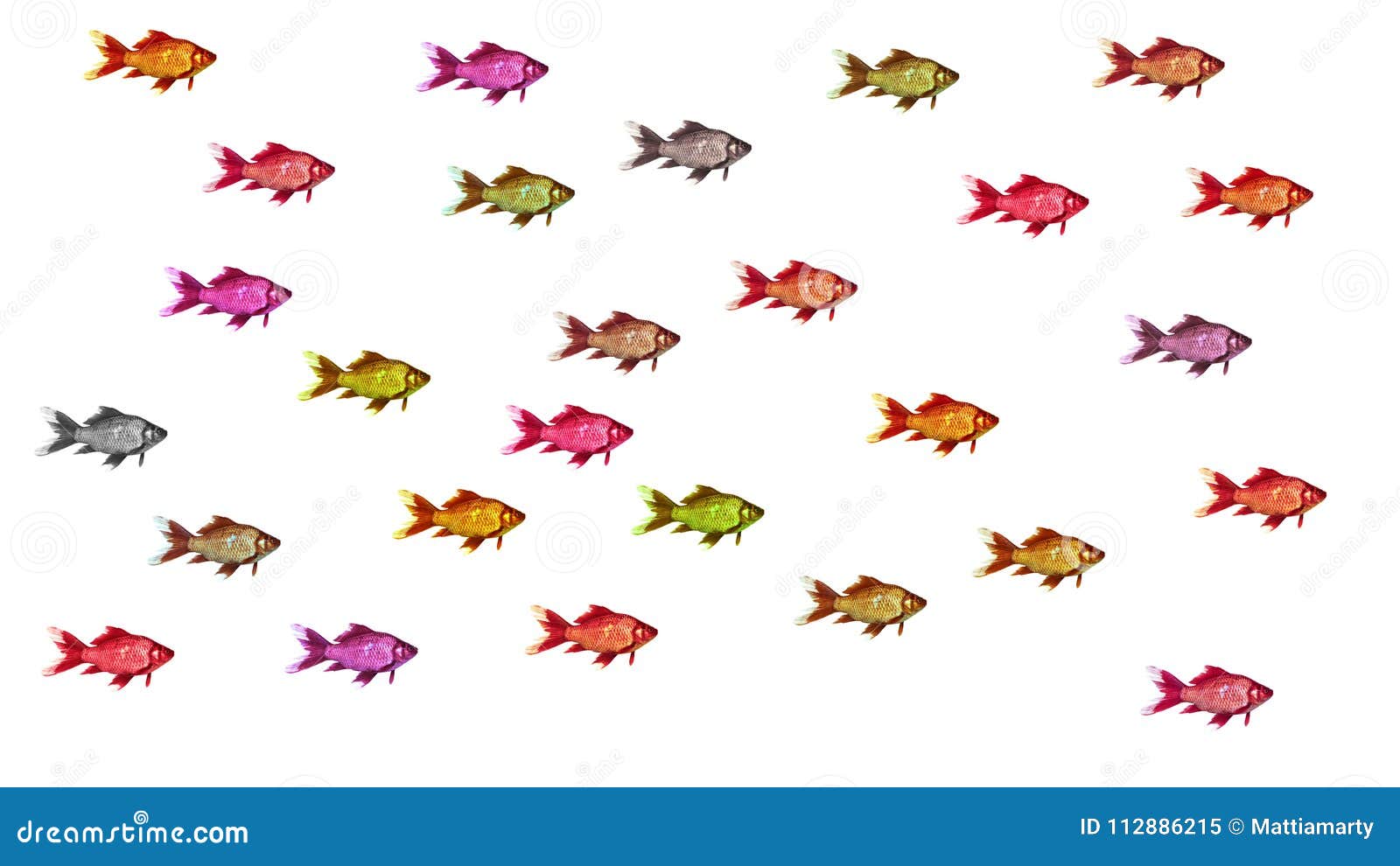 Teamwork, Concept of Diversity - Social Equality Stock Image - Image of ...