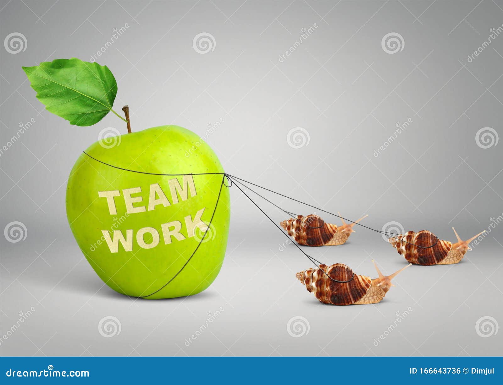Teamwork Concept, Group of Snails Pulling Big Apple Stock Photo - Image ...