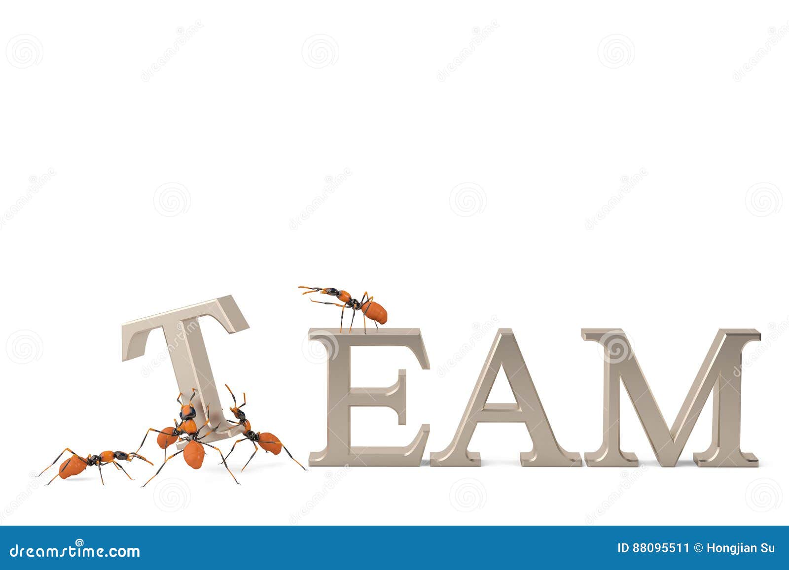 Teamwork Cooperation and Collaboration Ants Building Steel Text Stock ...