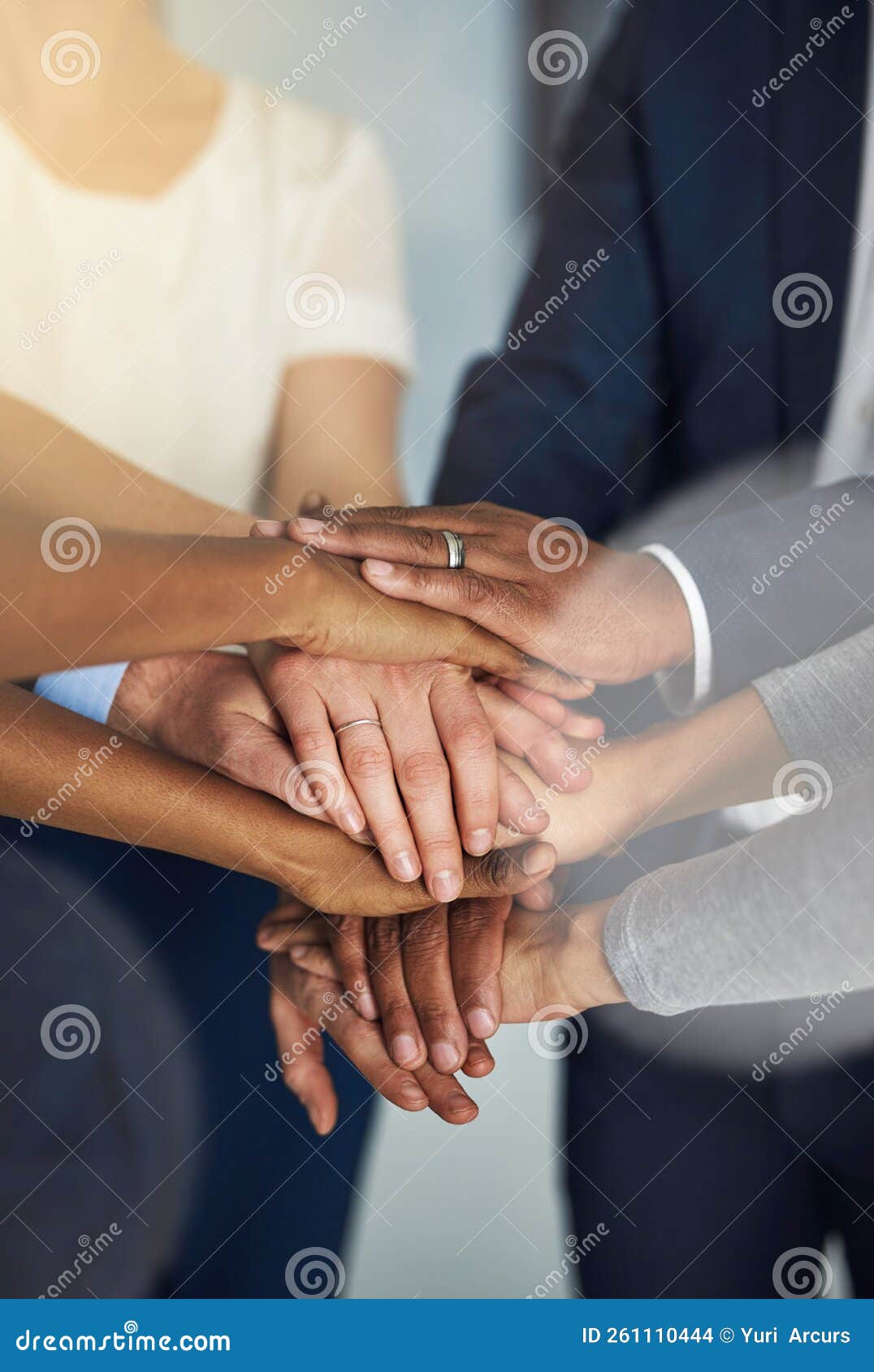 Teamwork is the Driving Force Behind Success. a Team of Colleagues ...