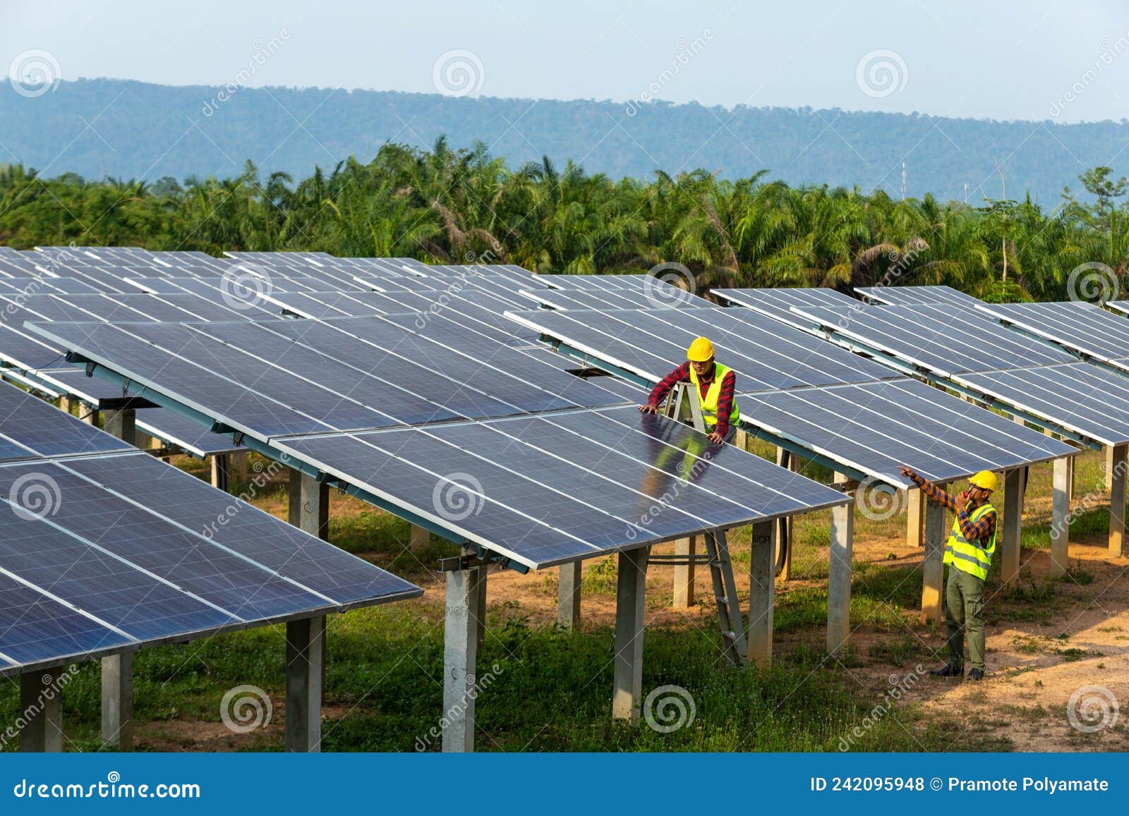 Teamwork Electrician Installing Solar Panels Working on Alternative ...