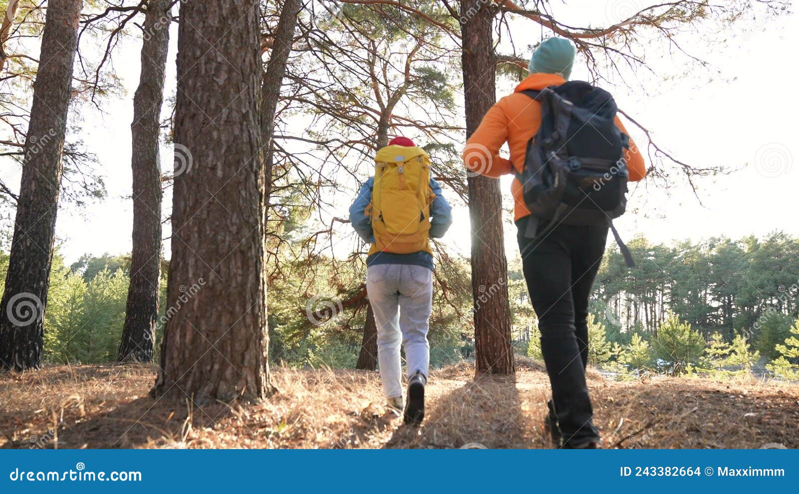 Teamwork. a Group of Hikers Tourists Walk through the Forest with ...