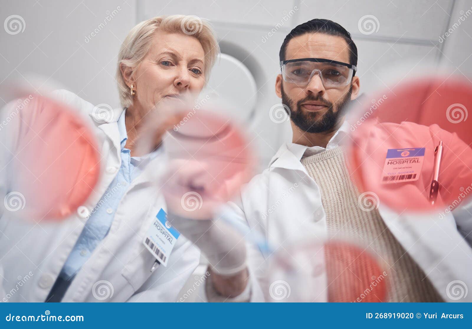 Teamwork, Laboratory and Science by Scientists in Analytics Research a ...