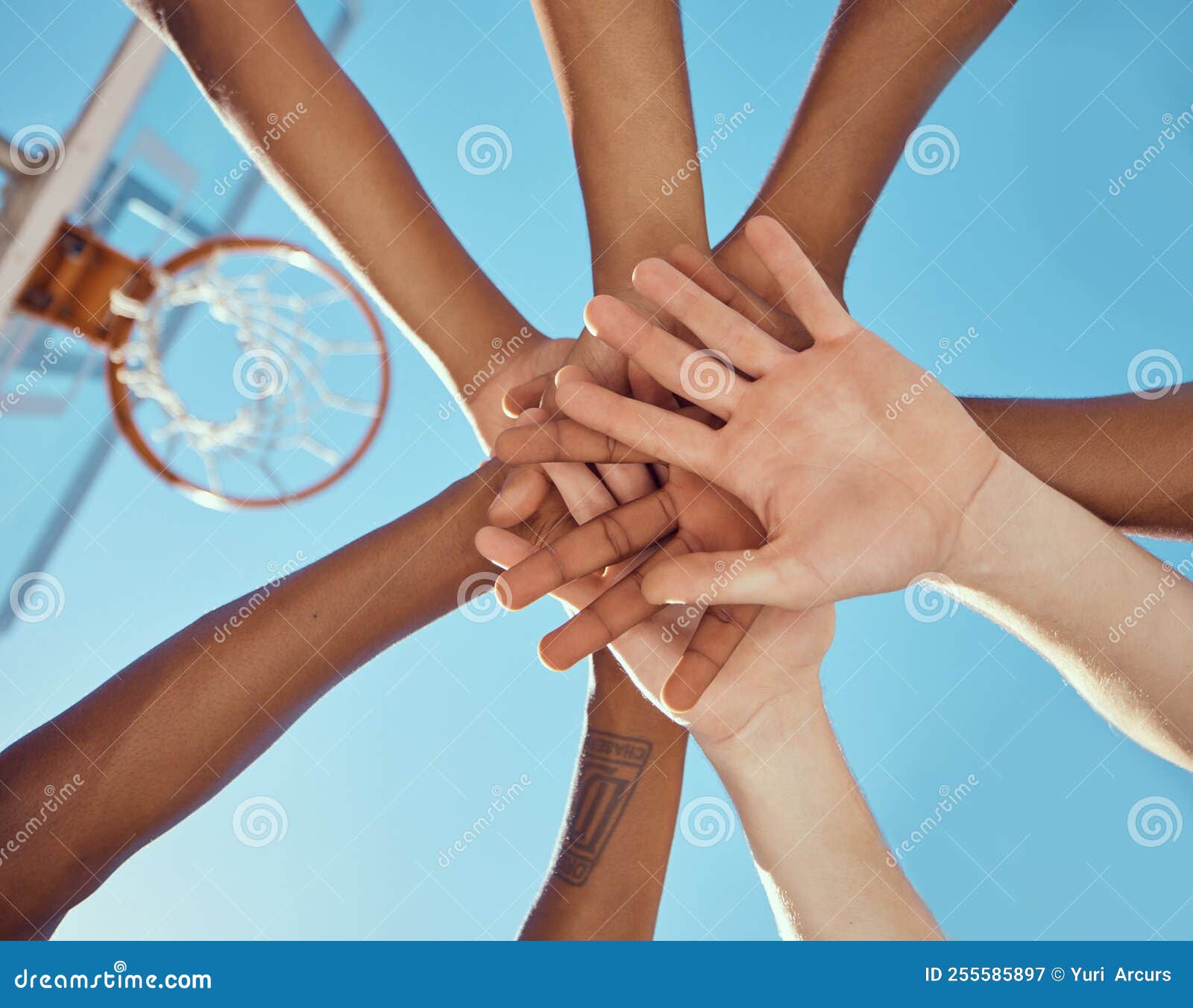 Teamwork, Motivation and Basketball Player Hand Collaboration in ...