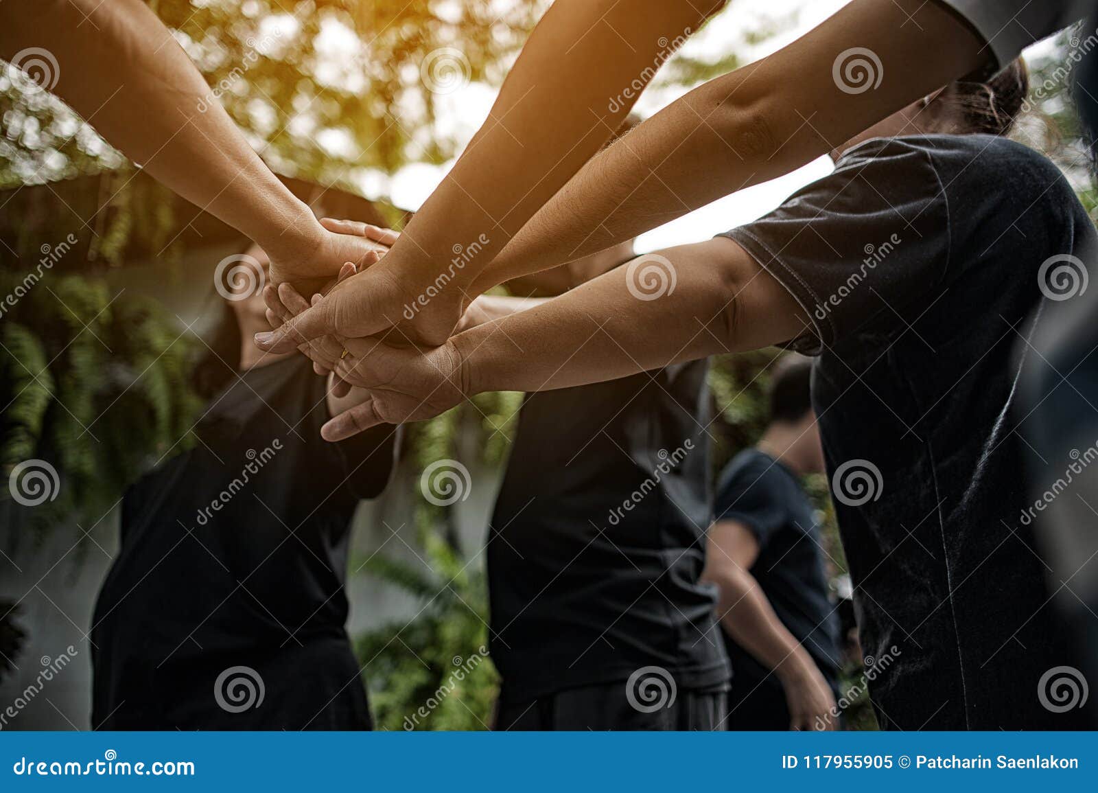Teamwork with Our Arms and Hands. Stock Image - Image of business ...