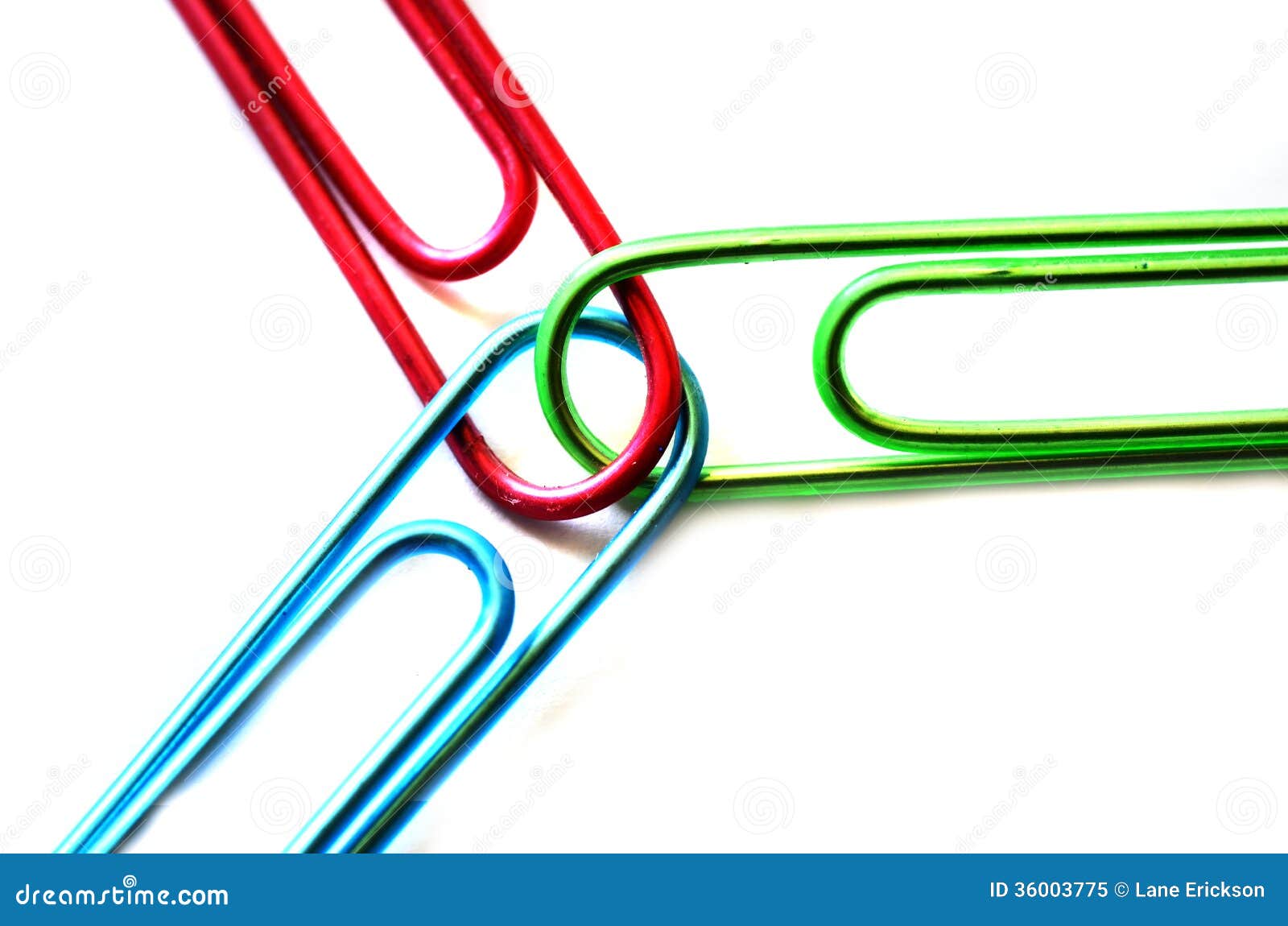 Teamwork Paperclips stock image. Image of interlinked - 36003775