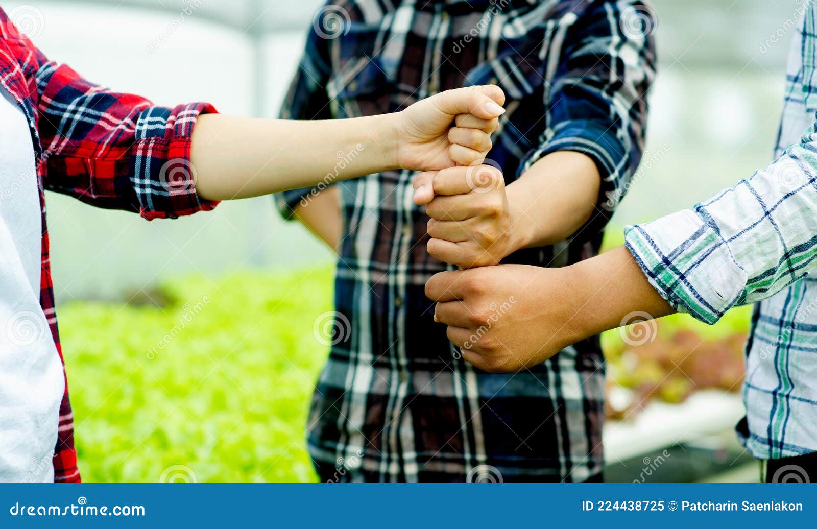 Teamwork Unity Group Unity of Mind Power Put Your Hands in a Vertical ...