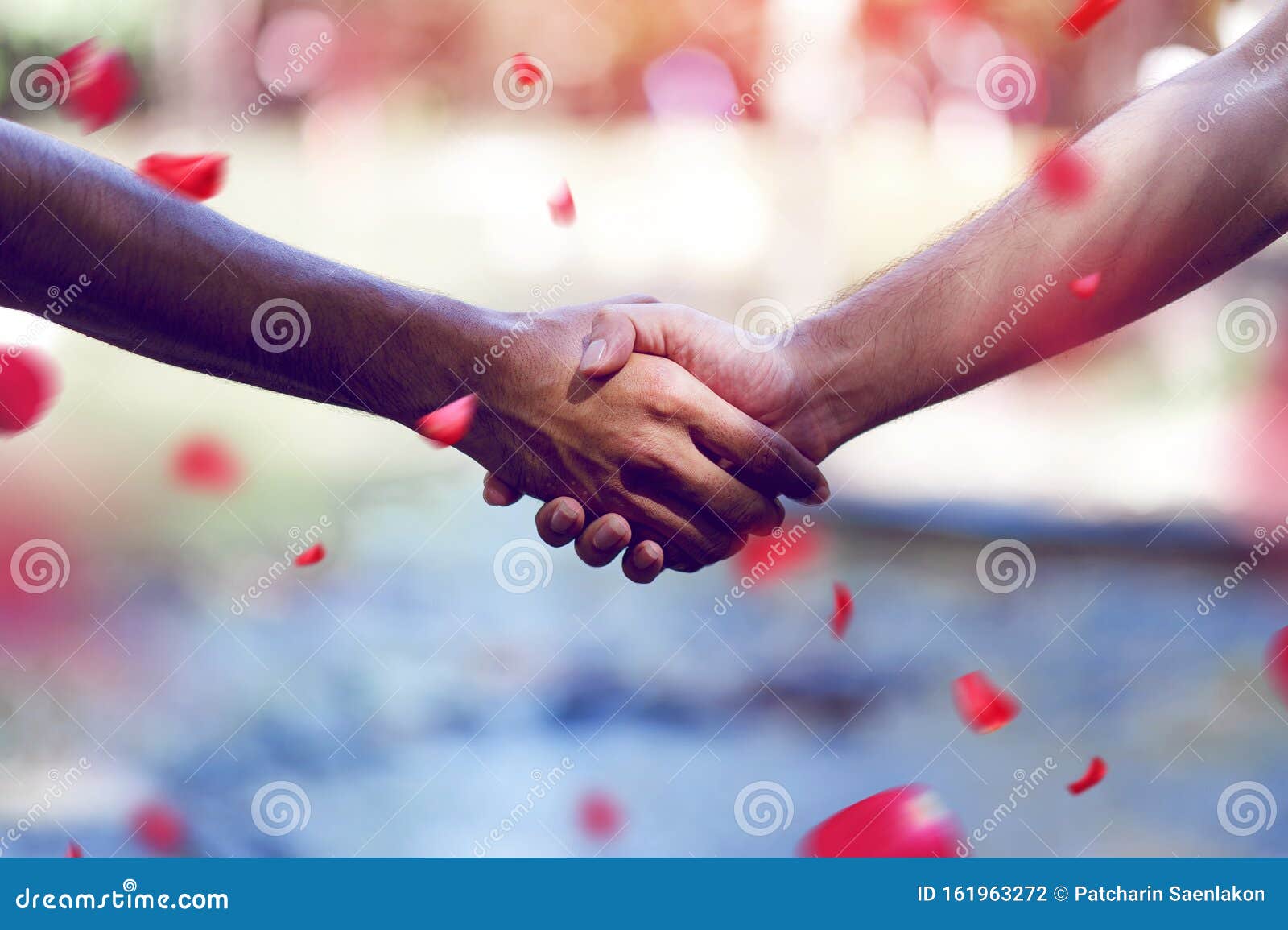 Unity Teamwork, Handshaking in the Team Team Concept Stock Photo ...
