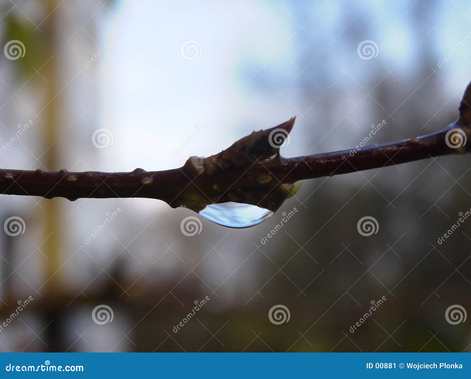 Tear of nature stock image. Image of spring, ecological, drops - 881