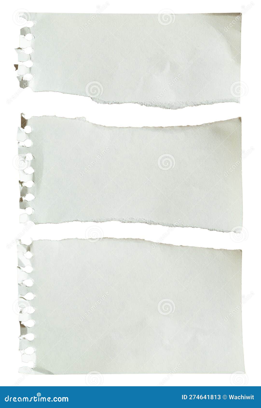 Tear Notebook Paper Pulled Out from a Ring Notebook Stock Image - Image ...