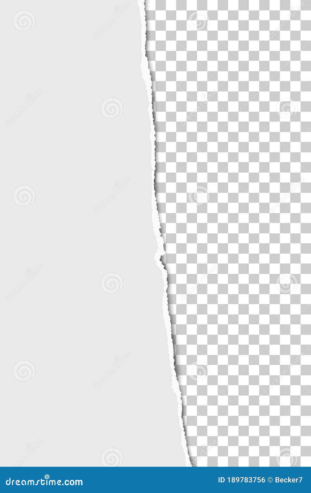 Teared From Top To Bottom Vertical Sheet Of White Paper With ...