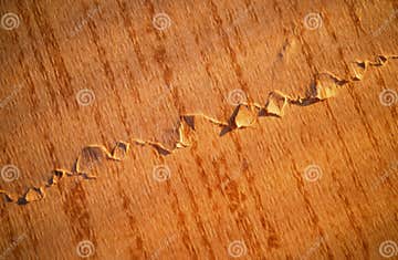 Teared Wallpaper during Sunset Time Background Stock Image - Image of ...