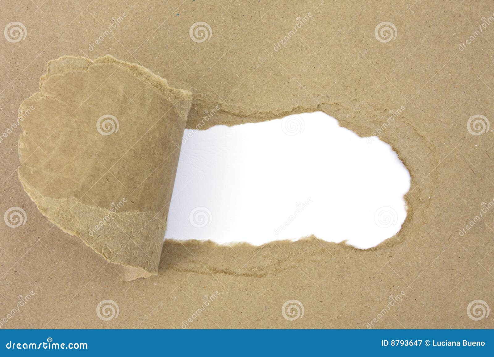 Tearing paper stock image. Image of damaged, cutting, craked - 8793647