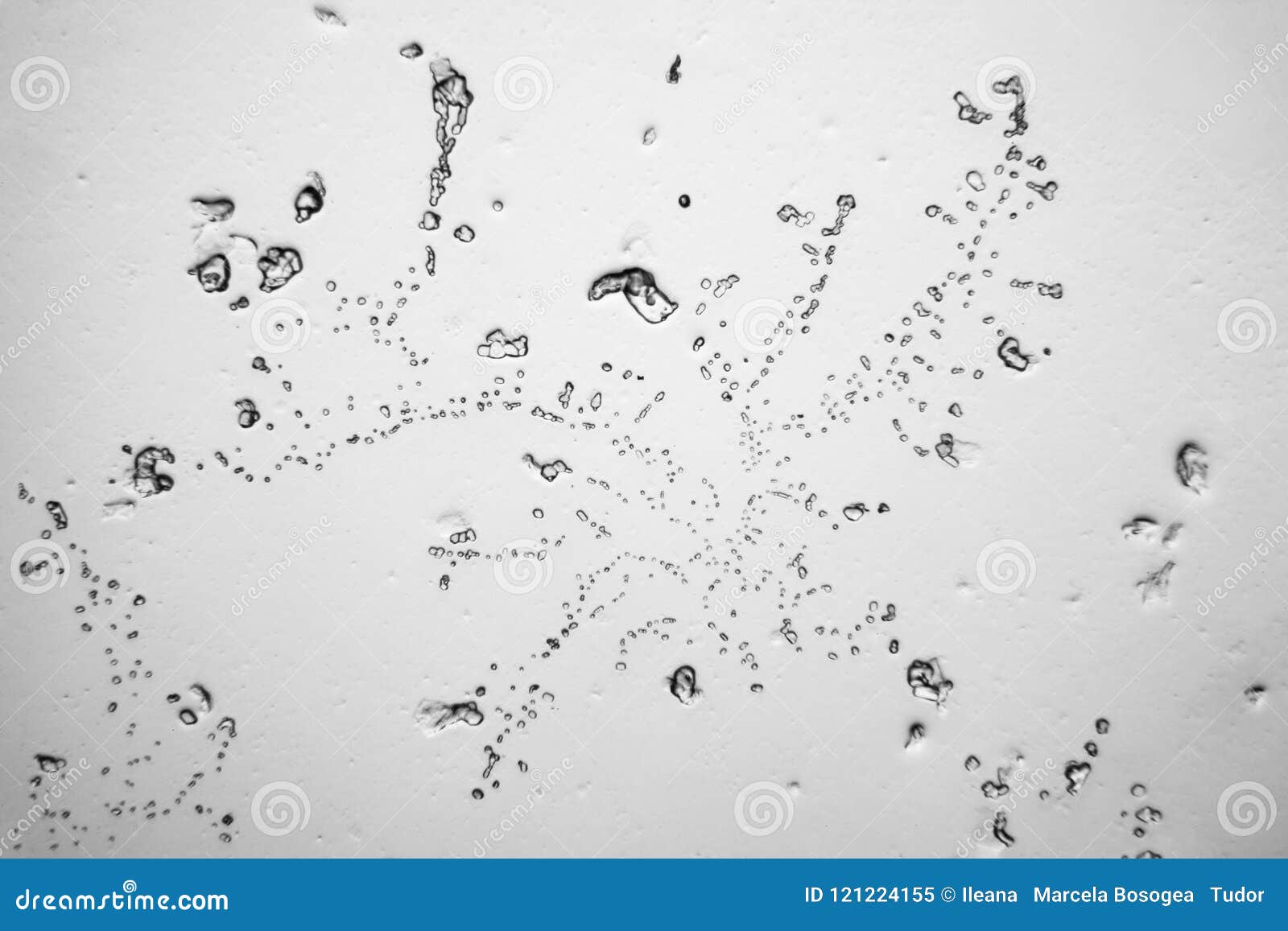 Tears Viewed at the Microscope Stock Image - Image of background ...
