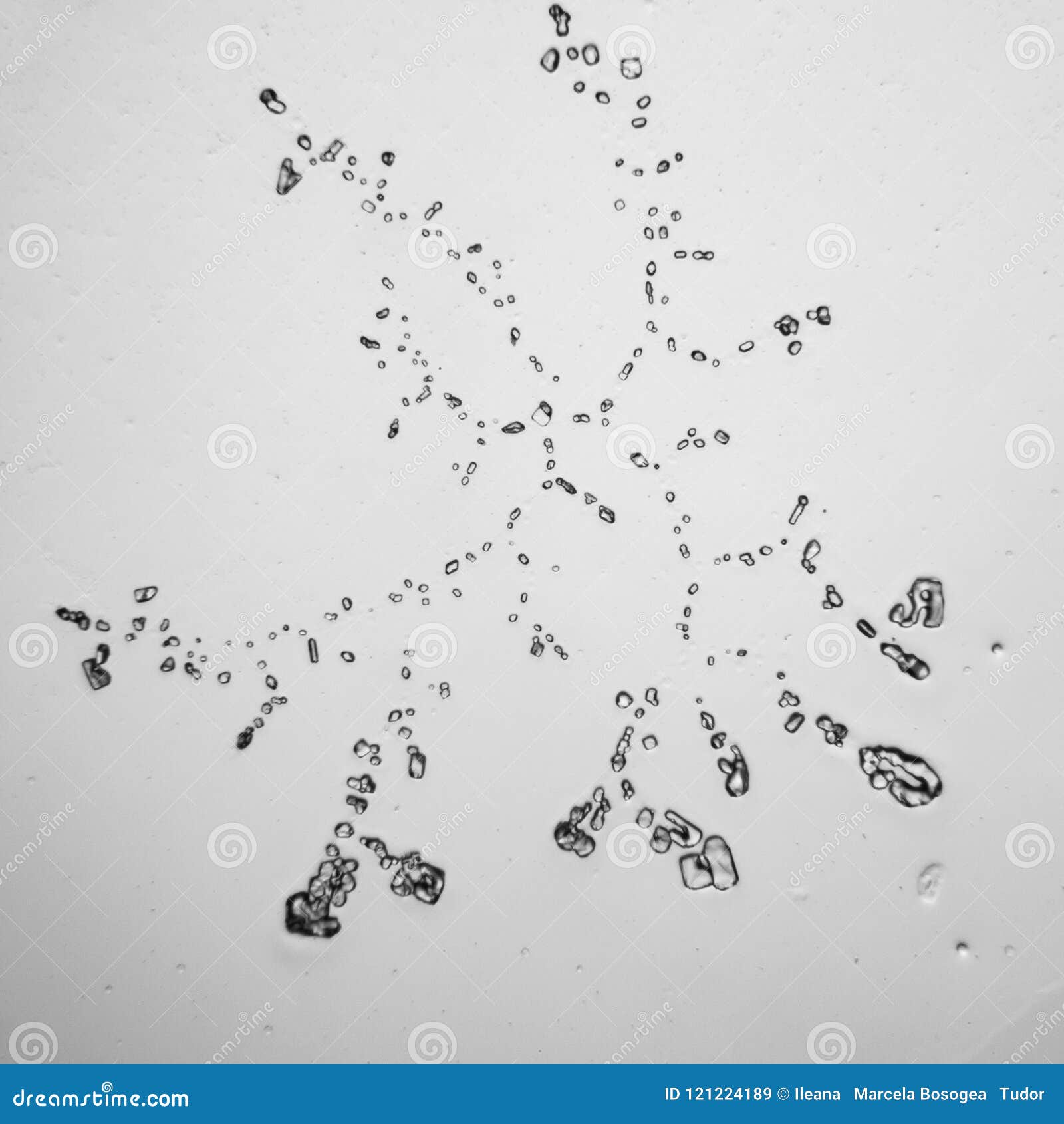 Tears Viewed at the Microscope Stock Image - Image of target, tear ...