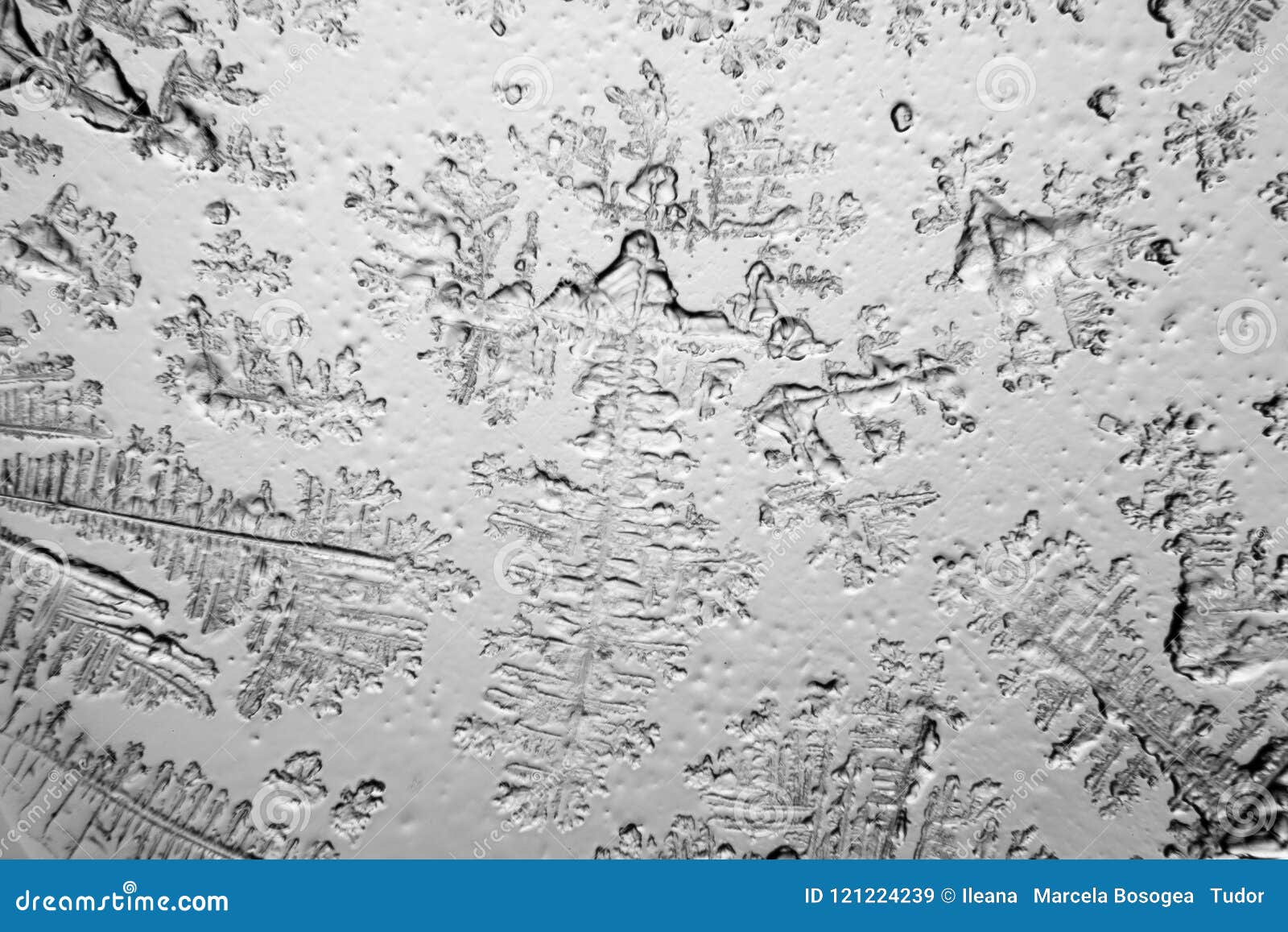 Tears Viewed at the Microscope Stock Image - Image of pain, human ...