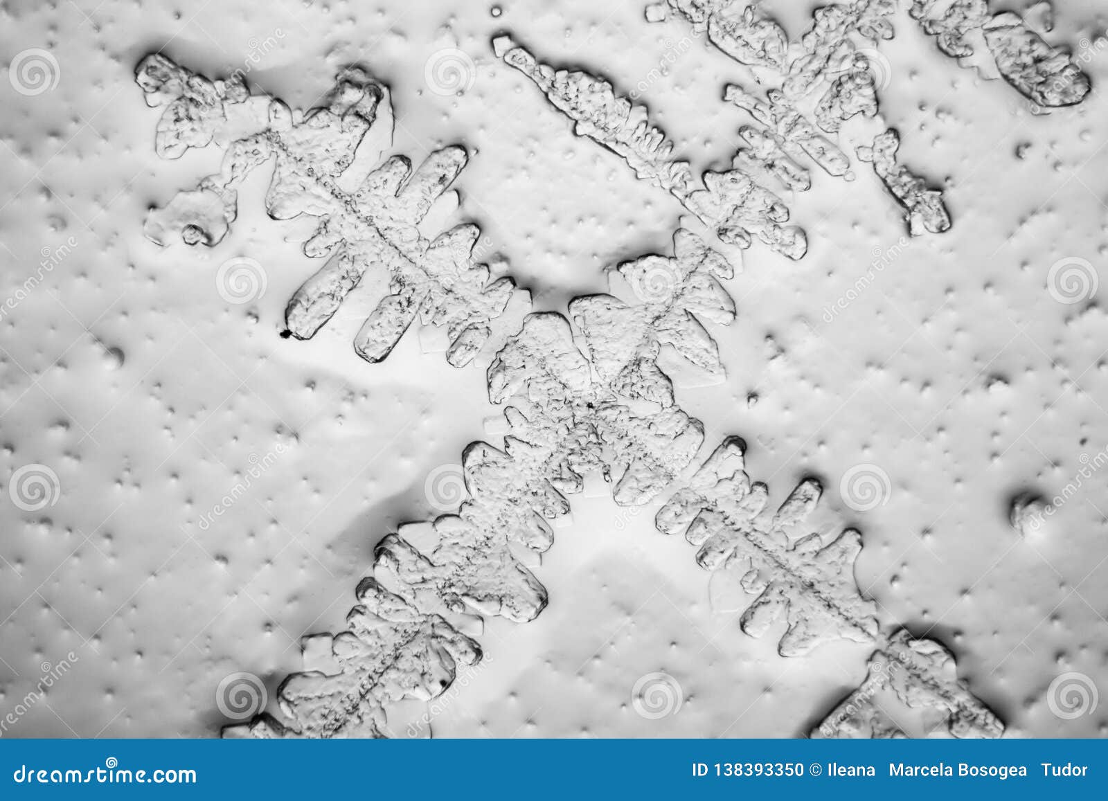 Tears Viewed at the Microscope Stock Photo - Image of magnification ...