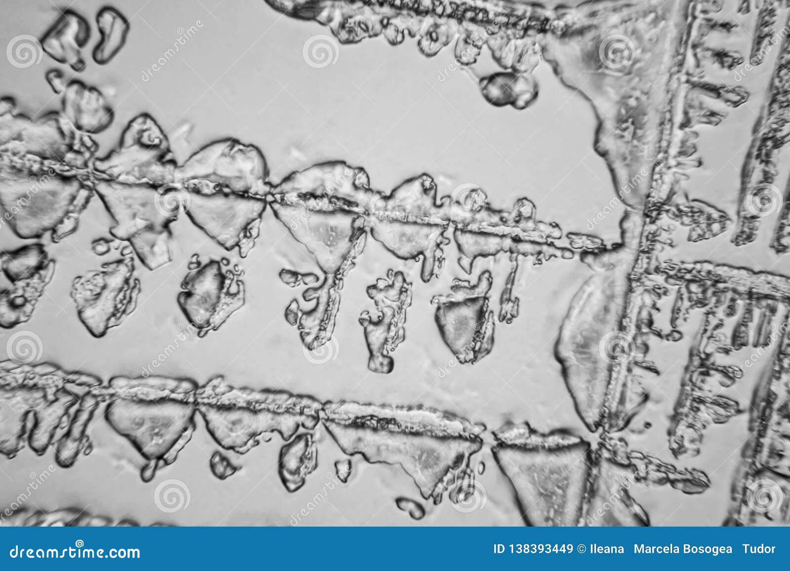 Tears Viewed at the Microscope Stock Image - Image of drop, medicine ...