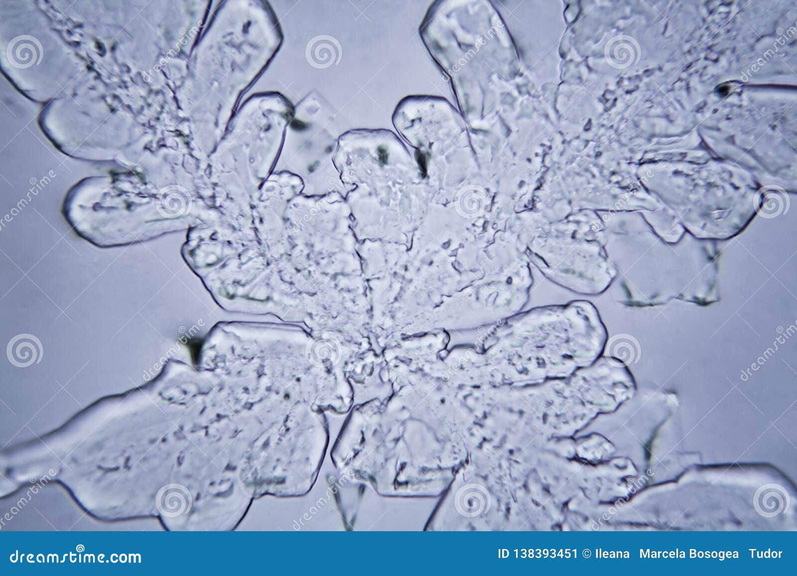 Tears Viewed at the Microscope Stock Image - Image of abstract ...