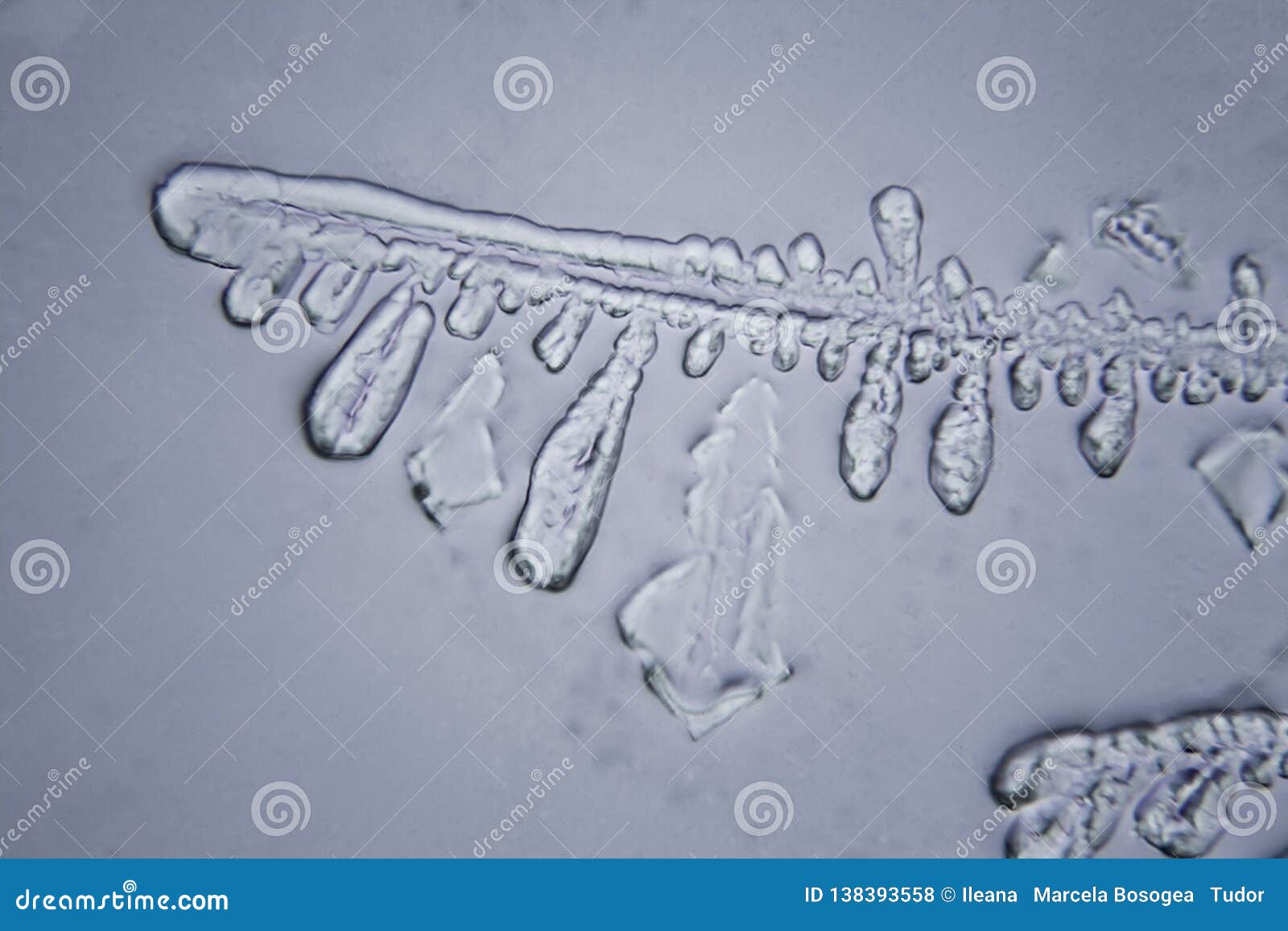 Tears Viewed at the Microscope Stock Photo - Image of health, 1001000xn ...