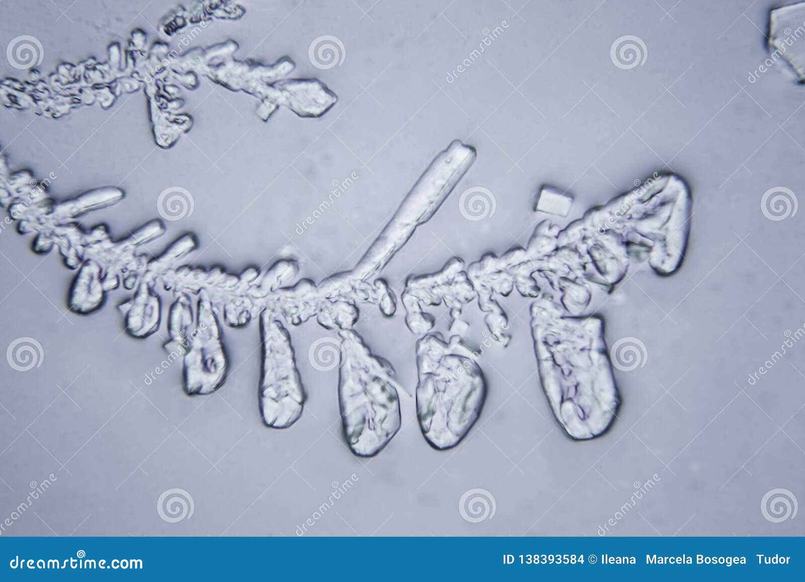 Tears Viewed at the Microscope Stock Photo - Image of white, background ...