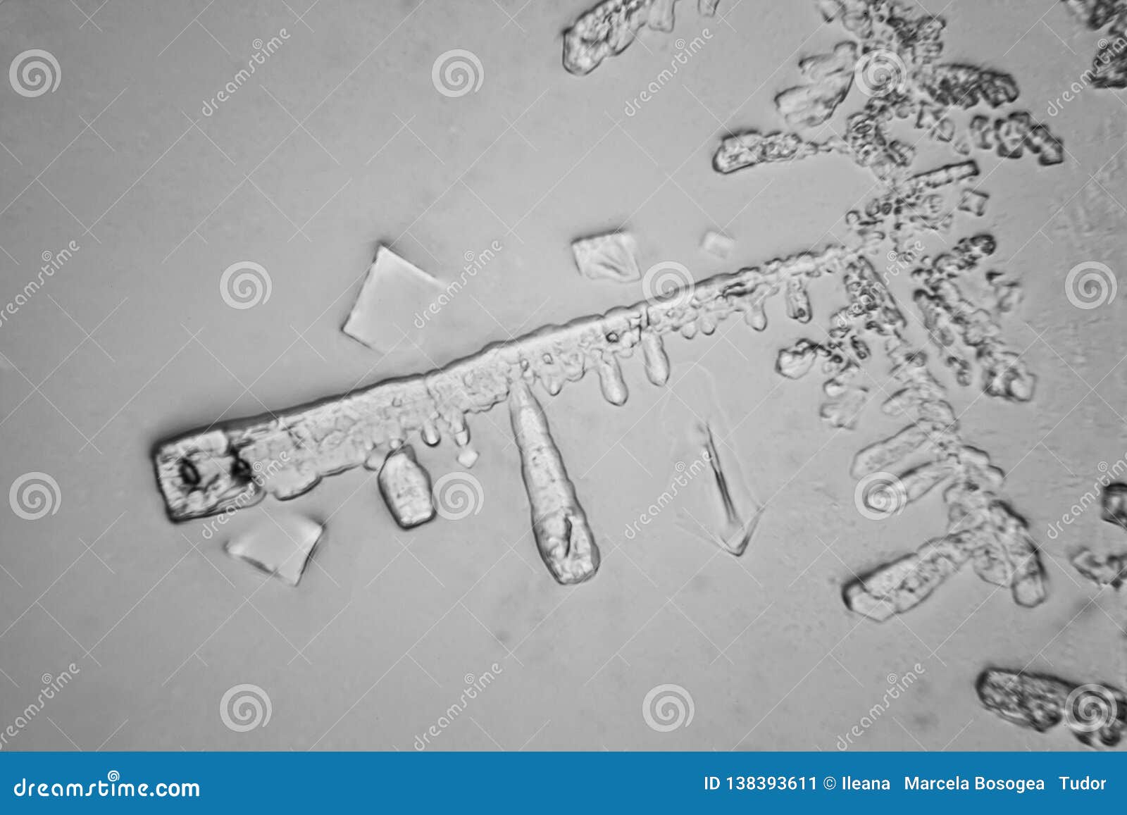 Tears Viewed at the Microscope Stock Image - Image of technology ...