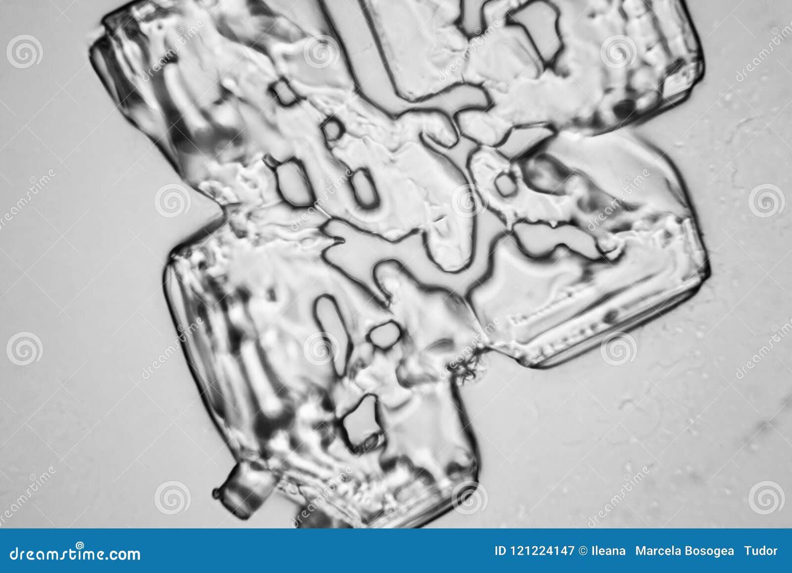 Tears Viewed at the Microscope Stock Image - Image of tears, slide ...