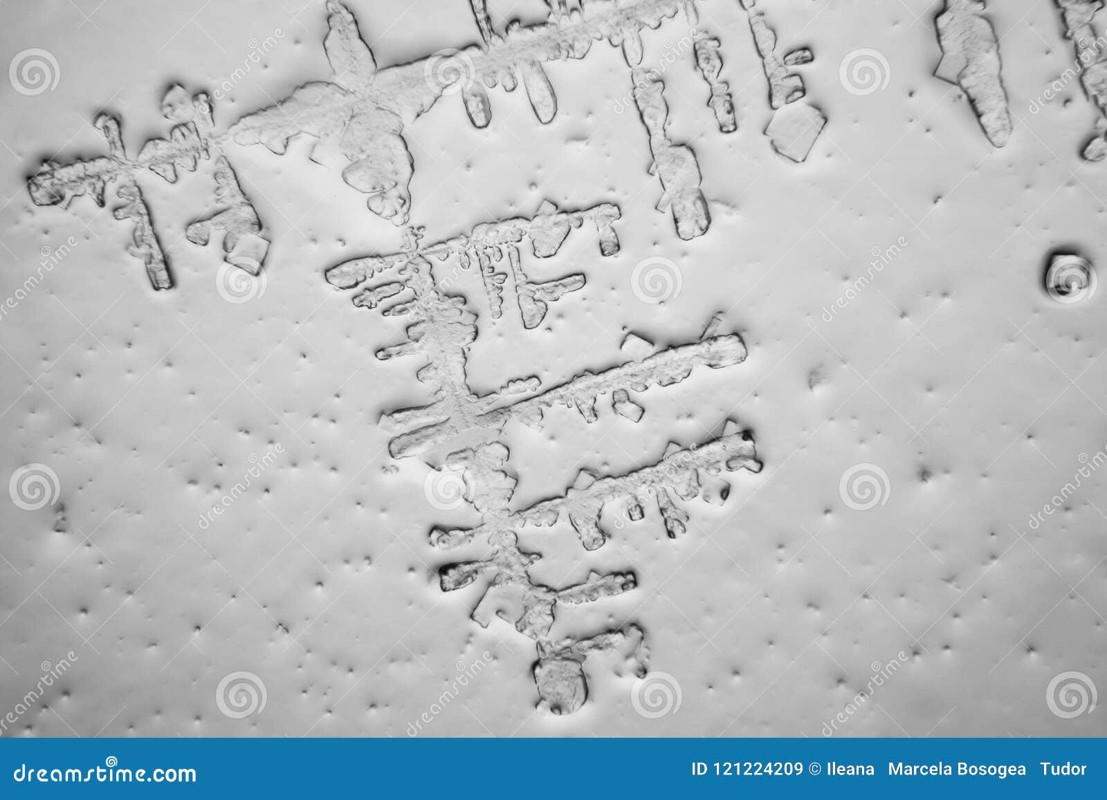 Tears Viewed at the Microscope Stock Image - Image of target, white ...