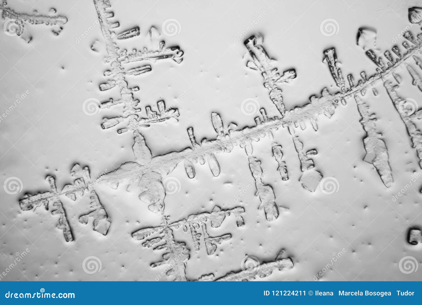 Tears Viewed at the Microscope Stock Image - Image of sadness ...