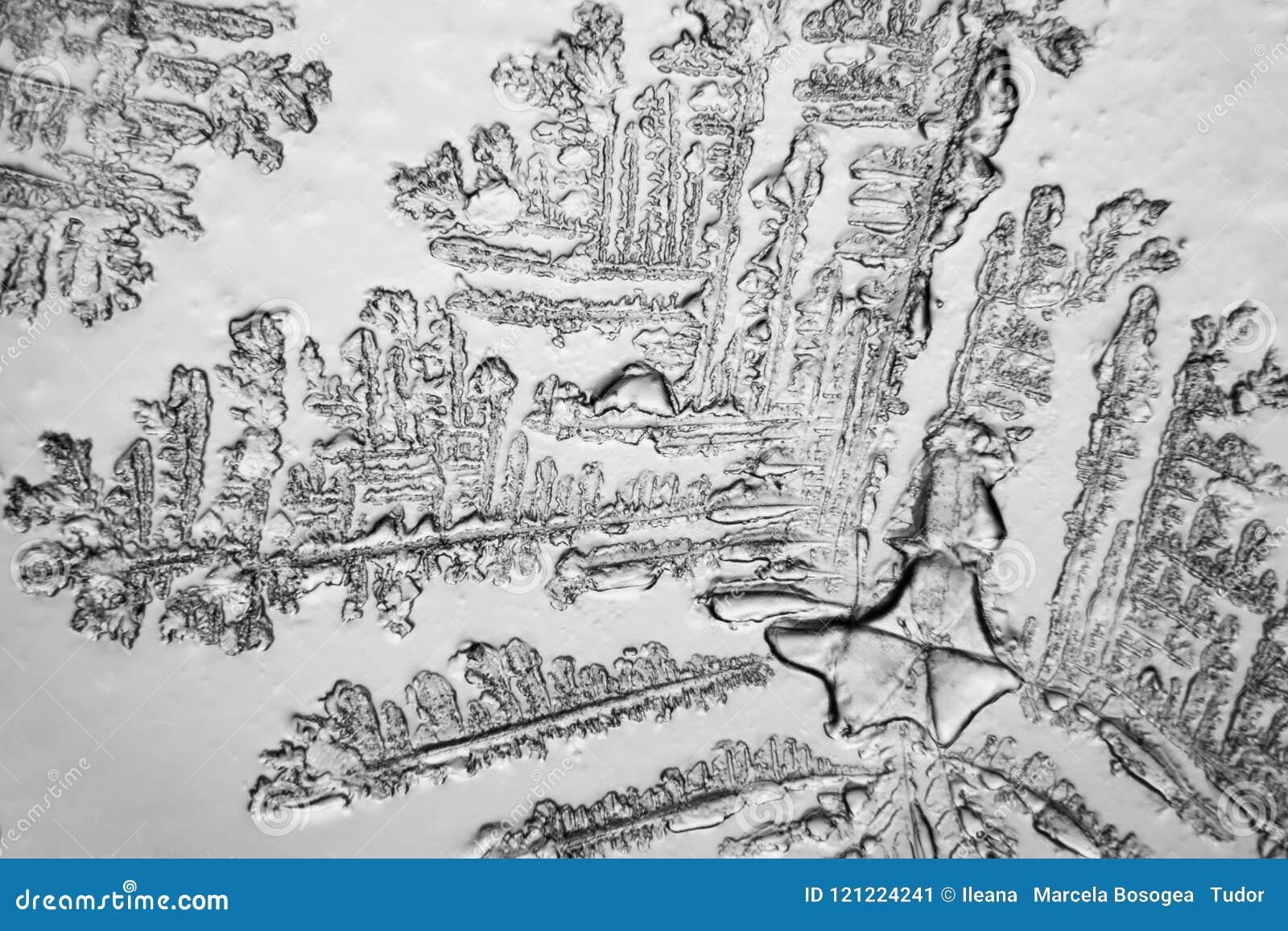 Tears Viewed at the Microscope Stock Image - Image of drop, viewed ...